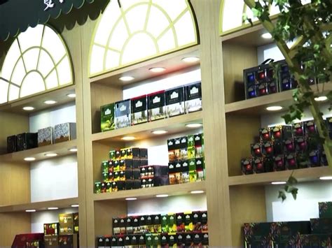 289家世界500强和行业龙头企业参会 第六届进博会布展工作全部完成