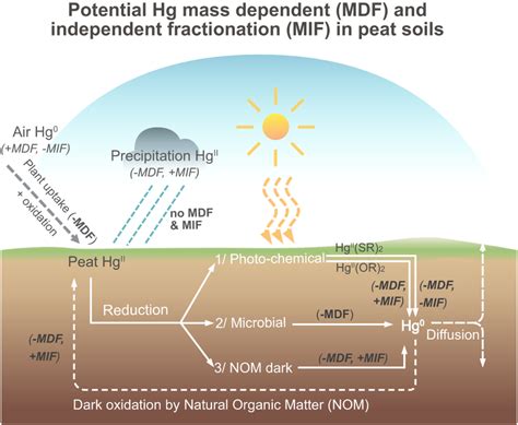 Overview Of Potential Redox Related Hg Stable Isotope Fractionation In