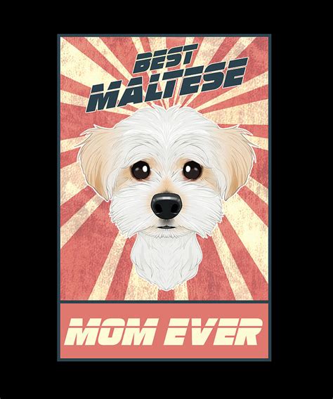 Best Maltese Mom Ever I Maltese Lover Digital Art By Maximus Designs