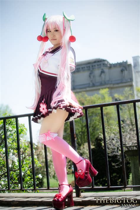 Sakura Miku Vocaloid Project Diva Cosaru Com