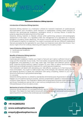 Dobutamine Dobutrex 250mg Injection At Rs 350 Vial डोबुटामिन In Surat