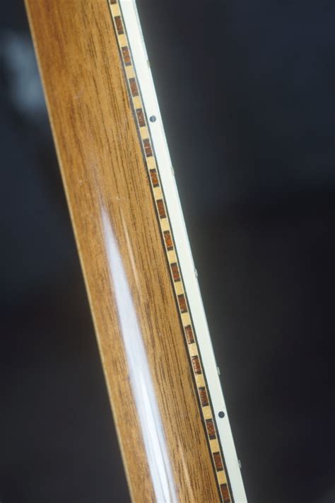 1960s Fender Concertone Deluxe 5 String Banjo Gold Engraved Plus Keith