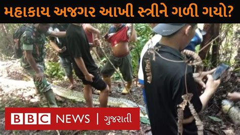 viral video અજગરનું પેટ કાપીને કેવી રીતે તેમાંથી મૃત મહિલાને બહાર