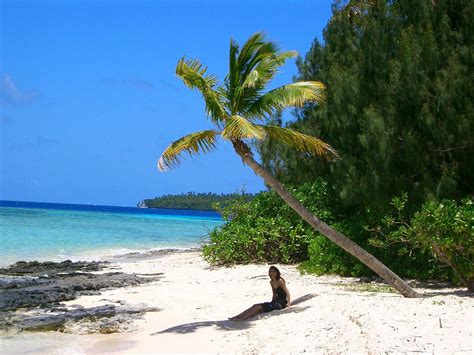 Tonga Tree By Kimmayyy On DeviantArt