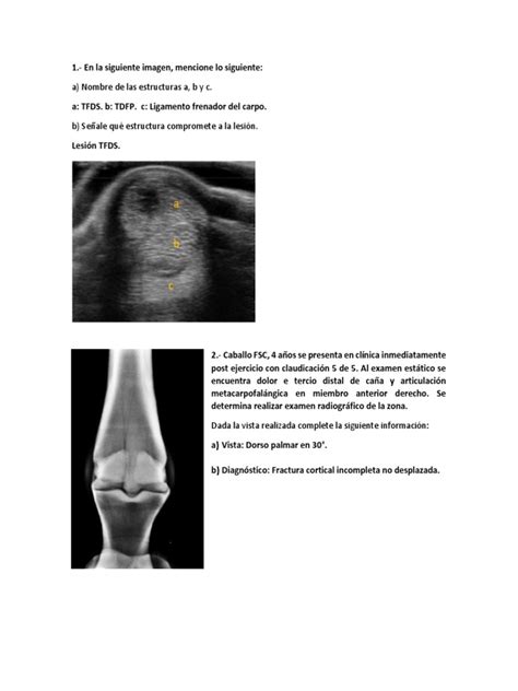 2pp Imagenes Pdf Radiología Ultrasonido