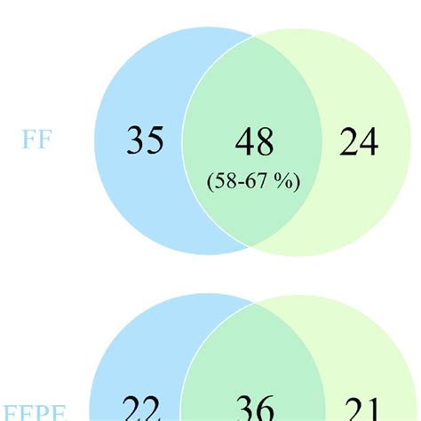 Comparison Of Electropherogram Outputs At The Top Ladder In The