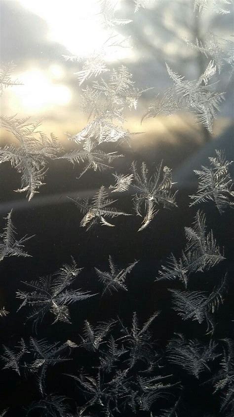 Sunlight Through Frosted Glass