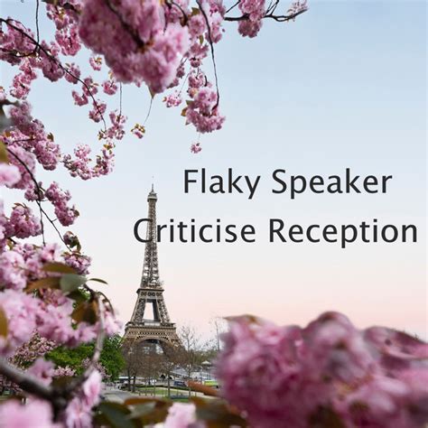 Flaky Speaker Spotify