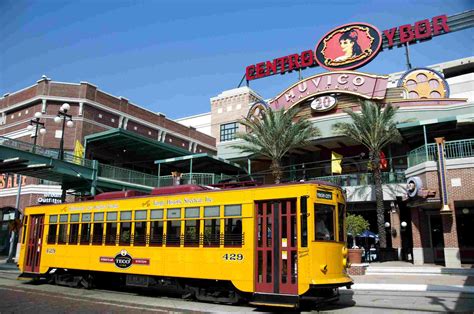Top 17 Things To Do In Tampa Bay Florida