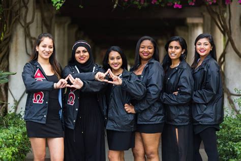 Executive Board Alpha Phi Omega Lambda Rho Pin On Delta Theta Psi