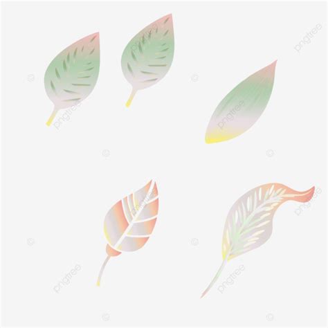 Watercolour Floral Leaves Vector Leaves Flower Floral Png And Vector