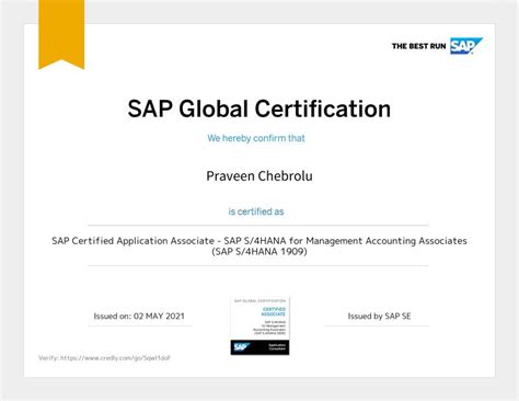 Praveen Chebrolu On Linkedin View My Verified Achievement From Sap Se