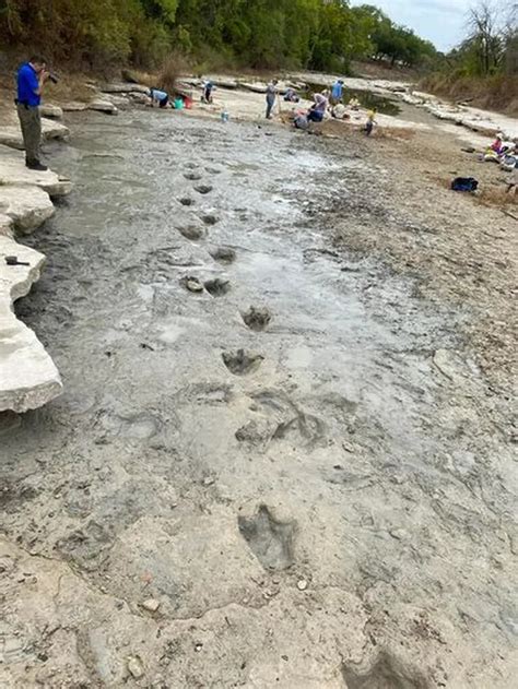 Huellas De Dinosaurios En El Lecho De Un Río Fueron Descubiertas Por