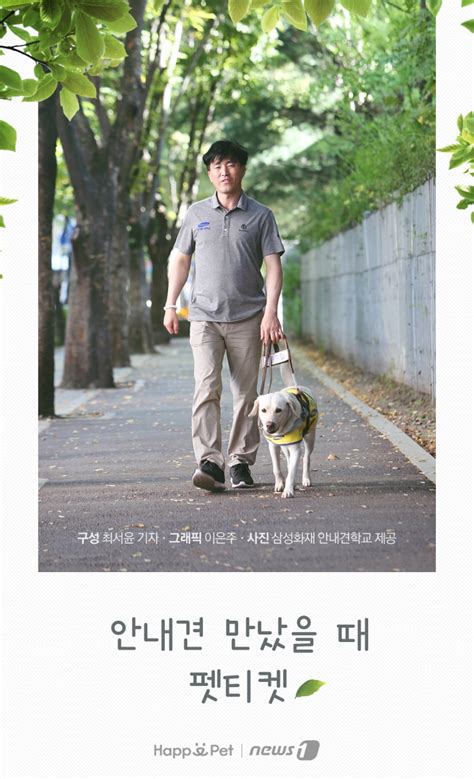 펫카드 시각장애인의 눈 안내견을 위한 펫티켓 뉴스1