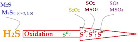 Hydrogen Sulphide Sequestration With Metallic Ions In Acidic Media