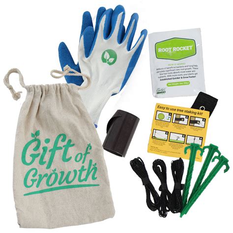 Tree Stake Kit Ensure Your Tree Grows Straight Plantingtree