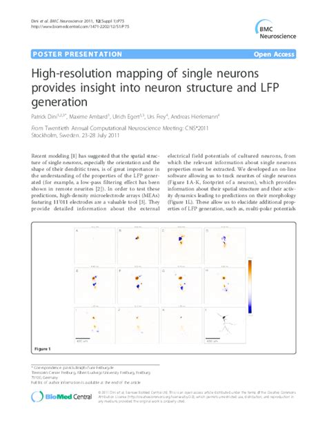 Pdf High Resolution Mapping Of Single Neurons Provides Insight Into