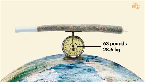 10 Cannabis World Records You Wont Believe Rqs Blog