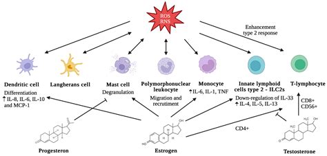 Sex Differences In Oxidative Stress Concerning Allergic Diseases