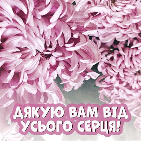 Щиро дякую за привітання картинка