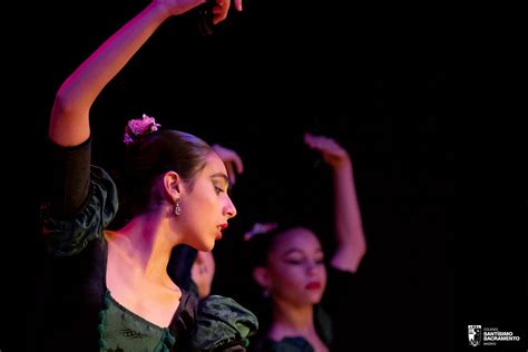 Escuela Profesional de Danza Colegio Santísimo Sacramento Madrid