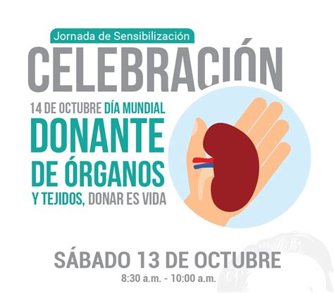Celebramos El Día Mundial De La Donación De Órganos