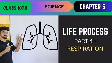 RESPIRATION LIFE PROCESS PART CLASS TH SCIENCE Science Class YouTube