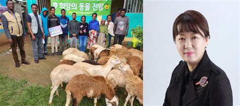 에티오피아 오로미아 휼레타 마을에 양 후원 전달한 부산 유엔pec사회적협동조합나눔뉴스 사랑받는 국민의 신문 기부문화를