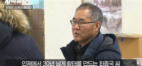 전쟁은 러시아가 하는데 인제 황태덕장 울상인 이유 인기 게시물 시보드