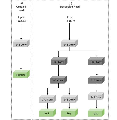 Structural Comparison Of Coupled Head And Decoupled Head A Is The Download Scientific