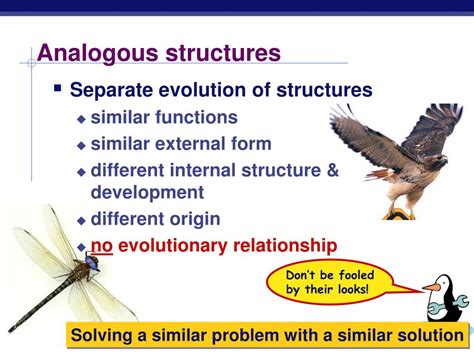 Ppt Evidence Of Evolution By Natural Selection Powerpoint