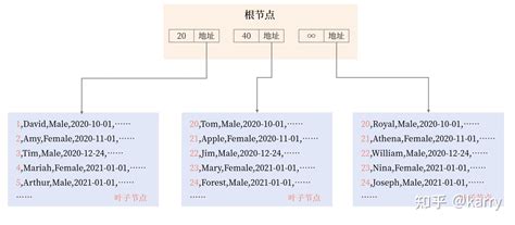 面试官 为什么MySQL的索引要用 B 树而不是B树 知乎