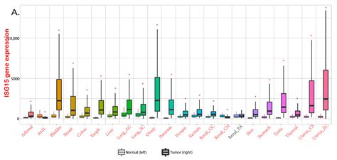 Functional Roles Of Isg15 Isgylation In Cancer Encyclopedia Mdpi