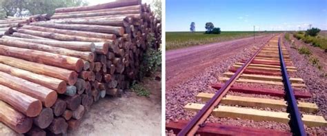 Madera De Quebracho Características Y Usos Maderea