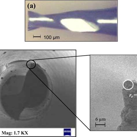 A Enlarged Side View Of The Micro End Mill Photograph Taken Under A