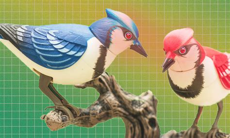 Birds Arent Real Explaining The Bizzare Meme — The Latch