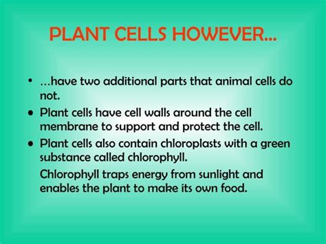 Unicellular And Pluricellular Living Things Ppt