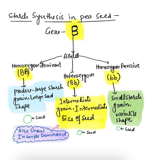 प्लियोट्रॉपी हिंदी मे।बहुप्रभाविता क्या है।what Is Pleiotropy Sikhobio