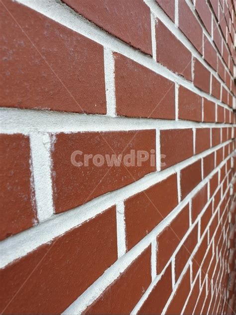 벽돌 Brick 적벽돌 단정함 깔끔 사진이미지일러스트캘리그라피 옥수수머신작가