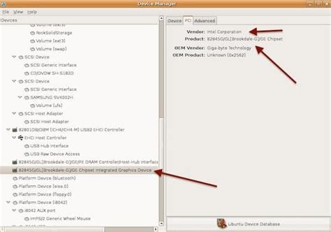 Linux Find Out Graphics Card Installed In My System Nixcraft