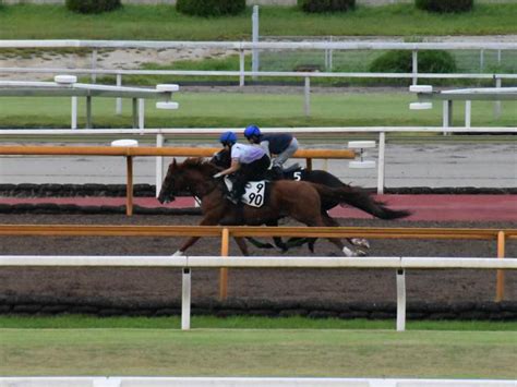 ジャスティンパレス、神戸新聞杯2週前追い切り速報栗東トレセンニュース 競馬ニュース Netkeiba