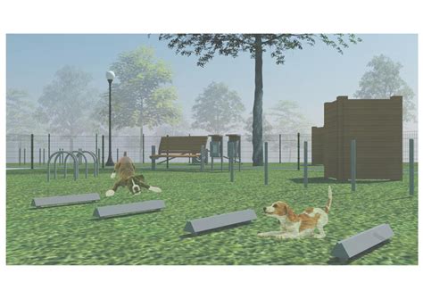 Powstaje park dla psów Gmina Trzebnica