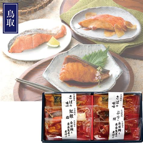 ＜山陰大松＞氷温熟成 煮魚・焼魚ギフトセット6切 Seiyuドットコム ギフト館