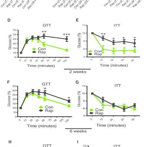 Insulin Signaling And Glucose Homeostasis Switch From Insulin Resistant Download Scientific