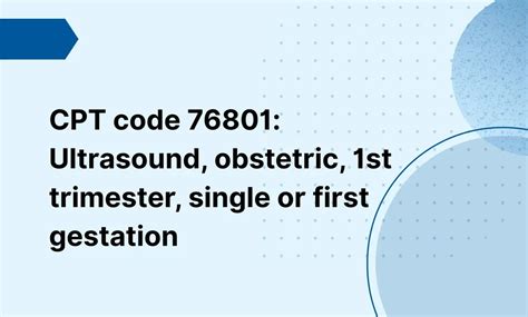 CPT Code 76801 Ultrasound Obstetric 1st Trimester Single Or First Gestation