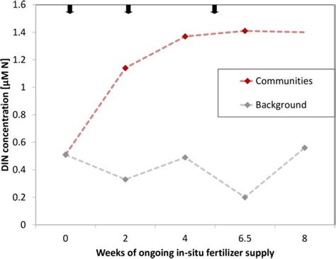 2 Dissolved Inorganic Nitrogen Din Concentrations At Experimental
