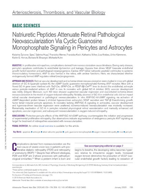 Natriuretic Peptides Attenuate Retinal Pathological Neovascularization