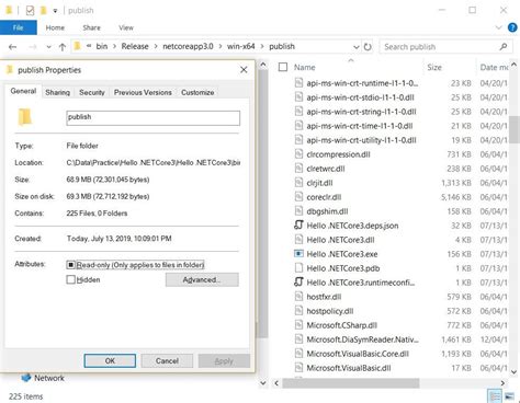 Create A Trimmed Self Contained Single Executable In Net Core 30 Dotnetcore Rdotnet