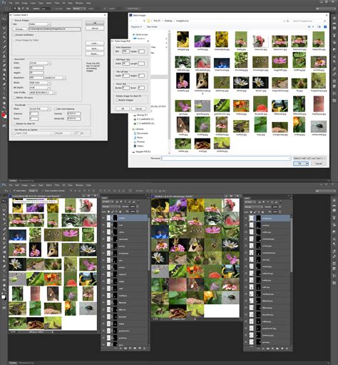 solved contact sheet without layer mask adobe community 10126437