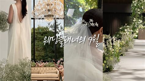 대전 웨딩플래너의 9월 이야기feat 오노마라비에벨 웨딩쇼케이스 플랜무드니 Youtube